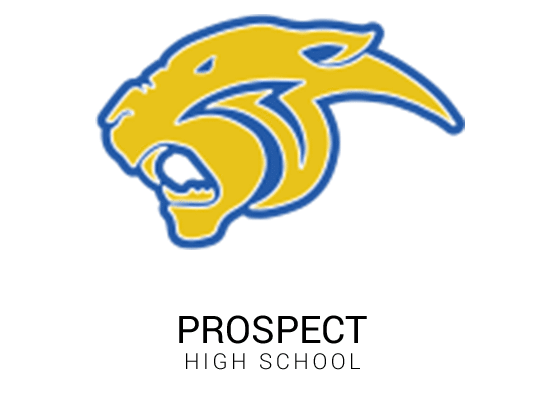 Vision - About Us - Prospect High School